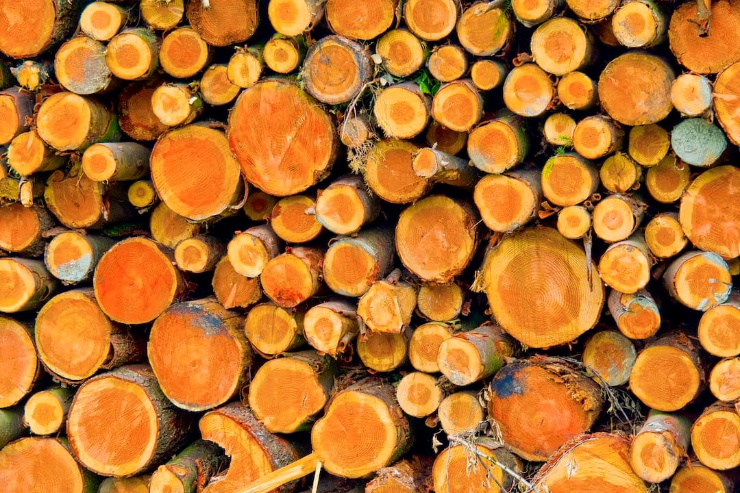 CLT Hout: Een Duurzame Bouwoptie voor Woningen en Gebouwen